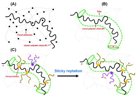 Different Models Of Polymer Entanglement A Conceptualization Of