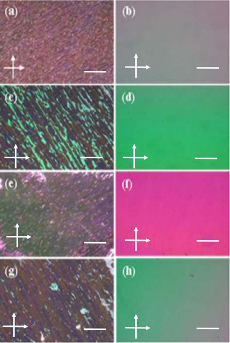 Optical Micrographs Of Dark A C E And G And Bright B D