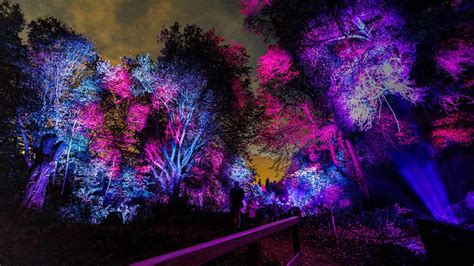 Tip De Grote Schijn Betovert Wablieft