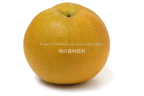 写真で見る梨 新王しんおう旬の果物百科