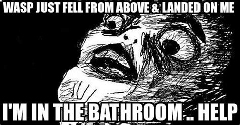 I Sprayed It With Febreze Imgur