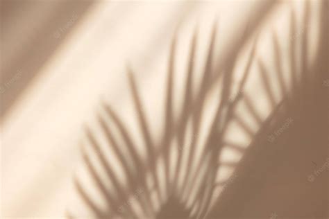 Beige Background