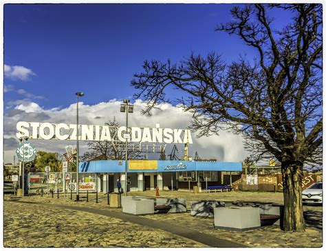 Worldwidewolfe Ii Pictureoftheday