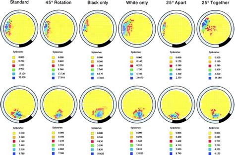 Example Color Coded Firing Rate Maps In Each Experimental Condition For Download Scientific