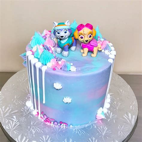 Paw Patrol Birthday Cake Diy Paw Patrol Cake Diy Girls Paw Patrol
