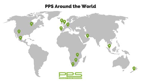 About Pps Project Plan Services