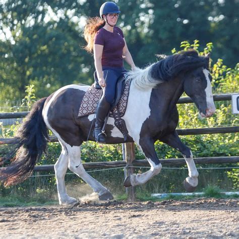 Edixion Edix Fanclub