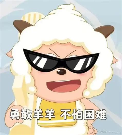 优选算法双指针 Csdn博客