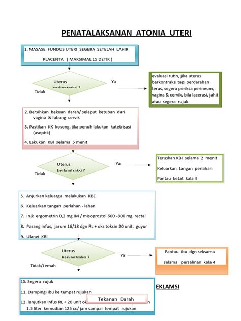 Tatalaksana Atonia Uteri And Per Peb Pdf
