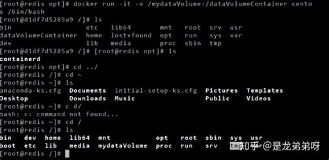Docker 和挂载文件一起打包成新镜像5docker容器数据卷 Csdn博客