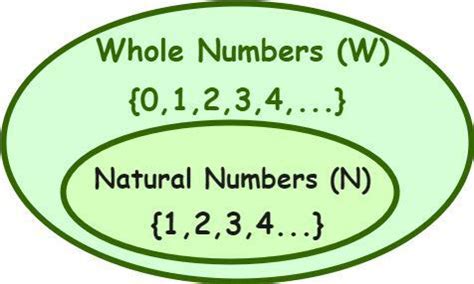 Whole Numbers Definition Symbol Properties And Examples 41 OFF