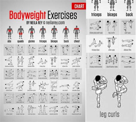 Athlean X Workout Plan Reddit