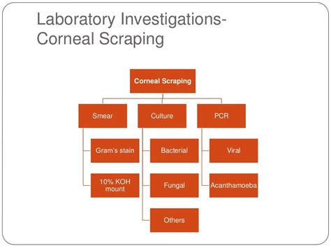 Corneal Opacity