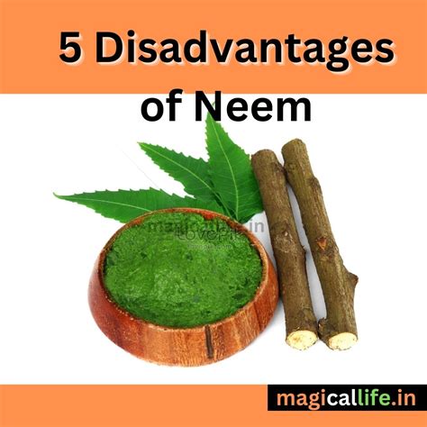 Top 10 Lines On Neem Tree In English MAGICALLIFE IN