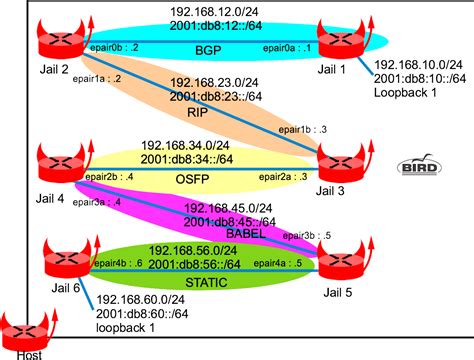 Bgp Ospf Rip Babel Lab With Bird [bsd Router Project]