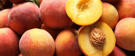 Nectarine En Perzik Wat Is Het Verschil 24kitchen