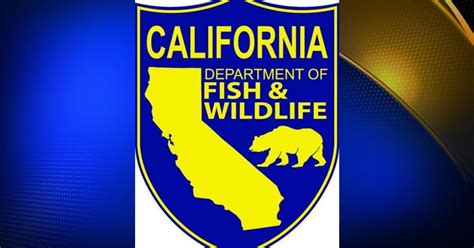 New Wildlife Conservation Plan Revealed By The California Department Of