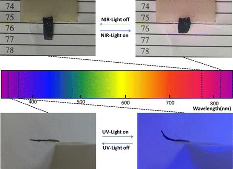 多刺激响应碳纳米管结合聚硅氧烷偶氮苯液晶弹性体复合材料 Macromolecules X Mol