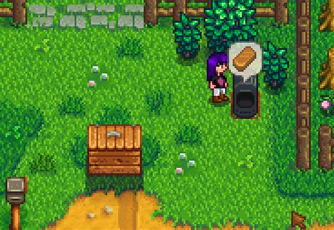 Stardew Valley Ultimate Beginners Guide To Week One