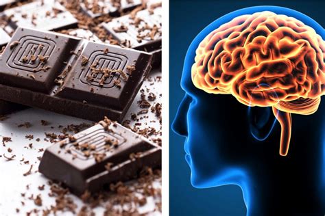Cocoa Flavanols Facts Health Benefits And Uses