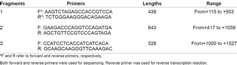 primer sets used for rt pcr amplification and sequencing of p53 gene