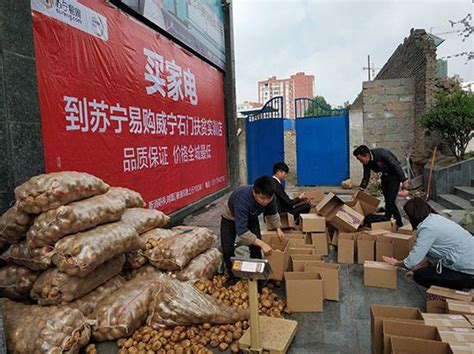 蘇寧電商扶貧實訓店：讓「精準扶貧」形成長效機制 每日頭條