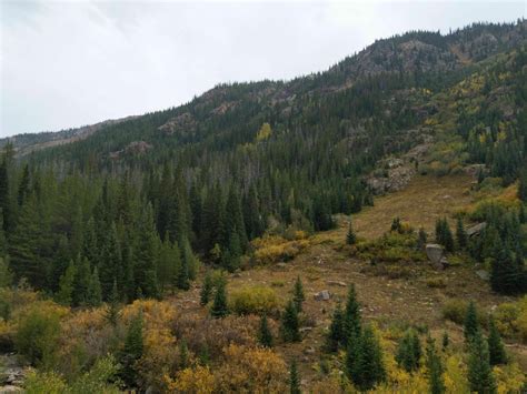 Red Buffalo Pass Via Gore Creek Trail Colorado Alltrails