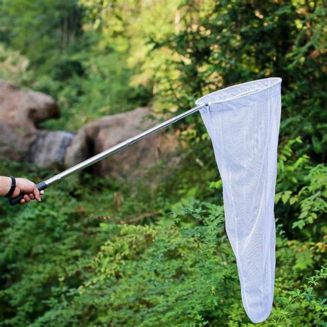 Flutter Of Activity Insect Sweep Net Market Surges As Eco Friendly Solutions Gain Traction