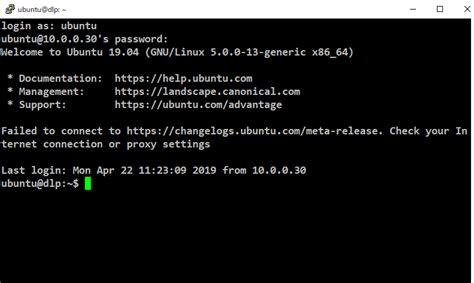 Ubuntu 1904 Openssh Password Authentication Server World
