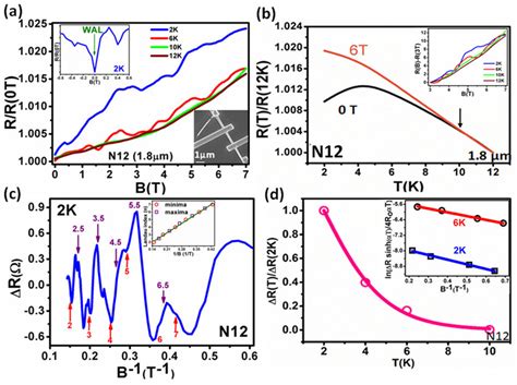 Analysis Of Sdh Oscillations In Sample N12 Cl 18 µm A Normalized