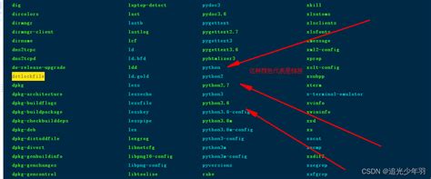 linux各目录及每个目录的详细介绍 usr local lib在哪 csdn博客