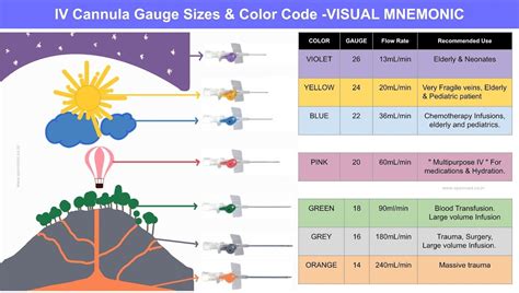 Iv Types And Sizes At Guillermo Odea Blog