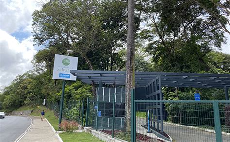 Conhecendo Salvador S O Marcos Bairros De Salvador Aposte B Nus