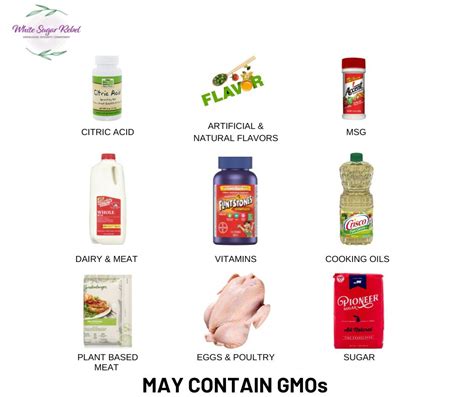 Why You Should Always Avoid Gmos White Sugar Rebel