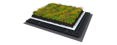 Retention Roof Extensive Optigreen Ltd Nbs Source