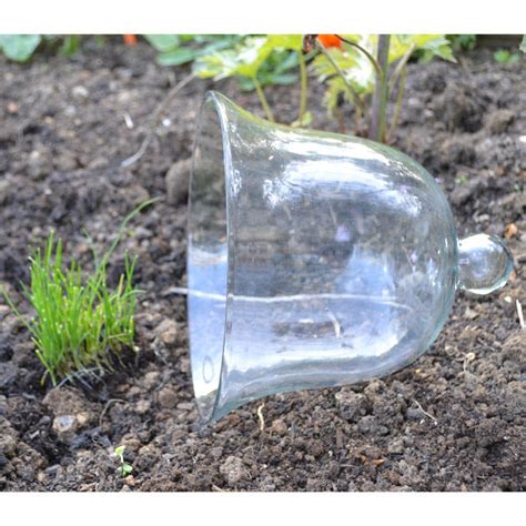 Extra Large Glass Bell Cloche Glass Designs