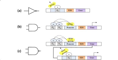 Expression Contact Nand Gate