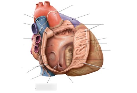 Ex 3 Lab 8 Diagram Quizlet