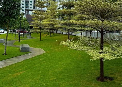 Progress Landscape In The Service Of Nature