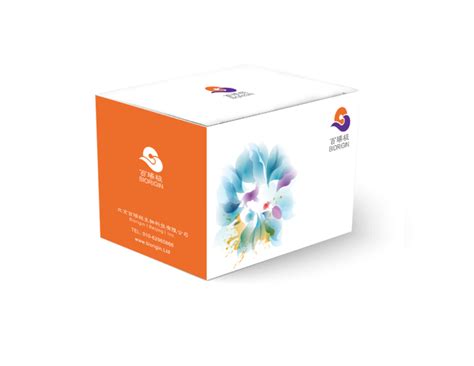 小鼠组织直接PCR试剂盒 北京百瑞极生物科技有限公司