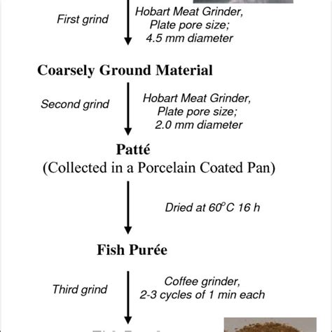 Schematic Diagram Showing The Steps Involved In Processing Of Fish