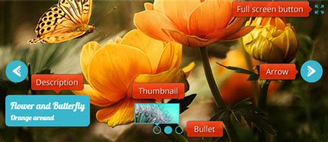 Full Screen Slider