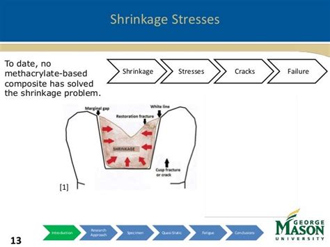 Self Healing Dental Composites Shrinkage