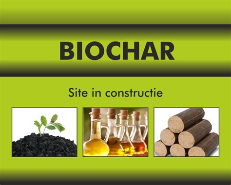 Biochar Green Is The New Black