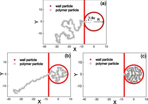 Dynamics Of Polymer Translocation Into A Circular Nanocontainer Through