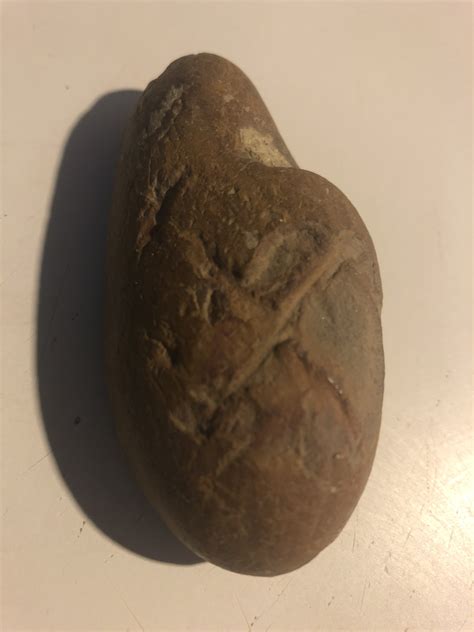 Strange Rock Fossil Id The Fossil Forum