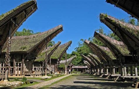 Budaya Sulawesi Selatan Homecare24