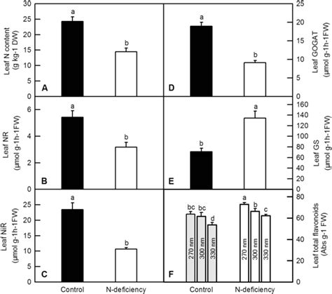 The Effect Of N Deficiency On Leaf N Content A Leaf Nr Activity Download Scientific Diagram
