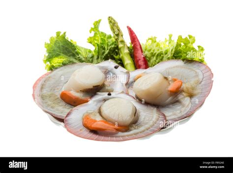 Raw Fresh Scallop Ready For Cooking Stock Photo Alamy