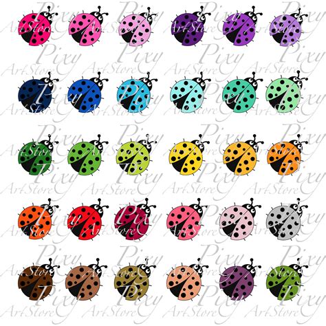 Rainbow Ladybugs Clipart Set Red Lady Bug Clipart Instant Download Ladybug Png Bundle Bug